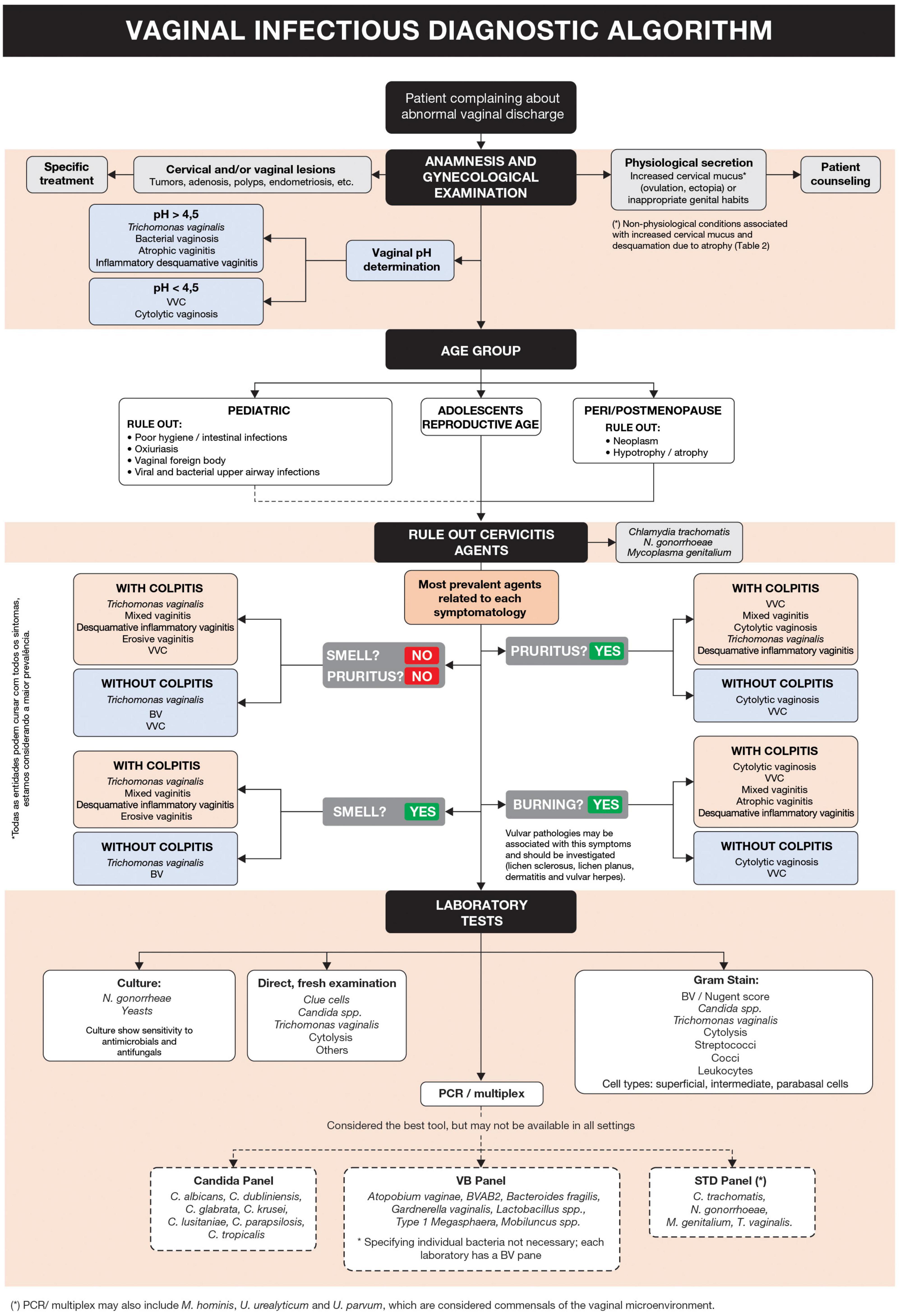 Frontiers | Diagnosis and treatment of infectious vaginitis: Proposal for a new algorithm